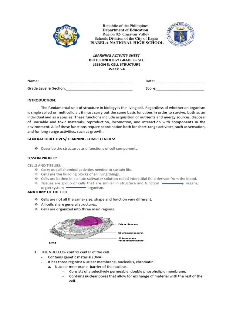 Lesson 5 Cell Structure | PDF | Cell (Biology) | Cell Membrane