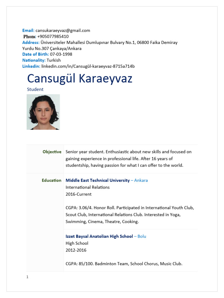 Cansug L Karaeyvaz CV | PDF | Career & Growth | Art