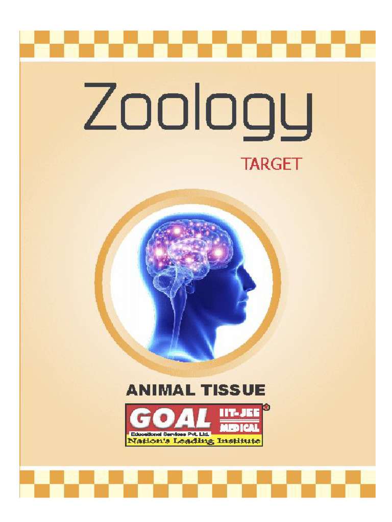 Overview of Animal Tissue Types | PDF | Epithelium | Connective Tissue