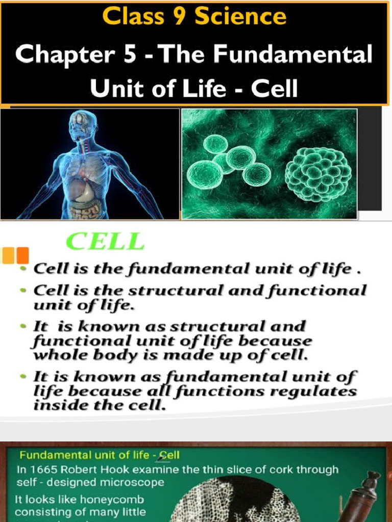Understanding Cell Structure and Function | PDF | Endoplasmic Reticulum ...