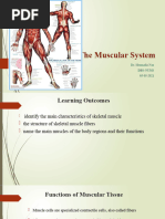 Muscle OIA | PDF | Vertebral Column | Vertebra