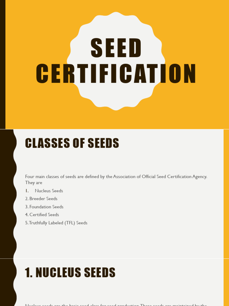 Seed Certification | PDF | Science & Mathematics | Technology & Engineering