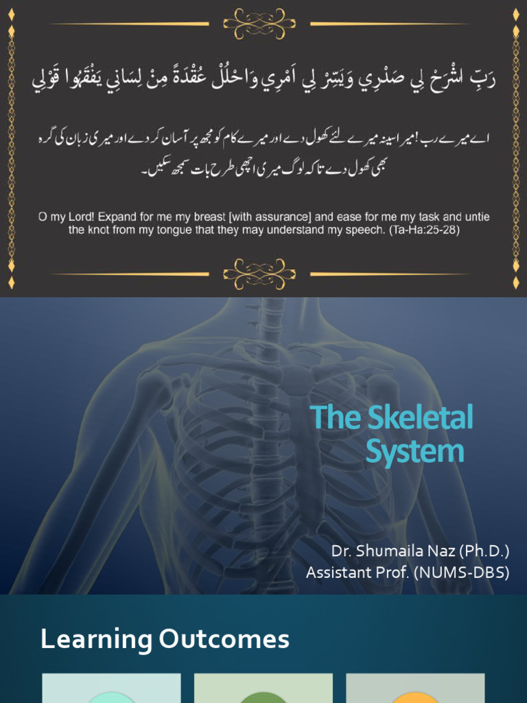 1. Axial skeleton (Skull) | PDF | Skull | Bone