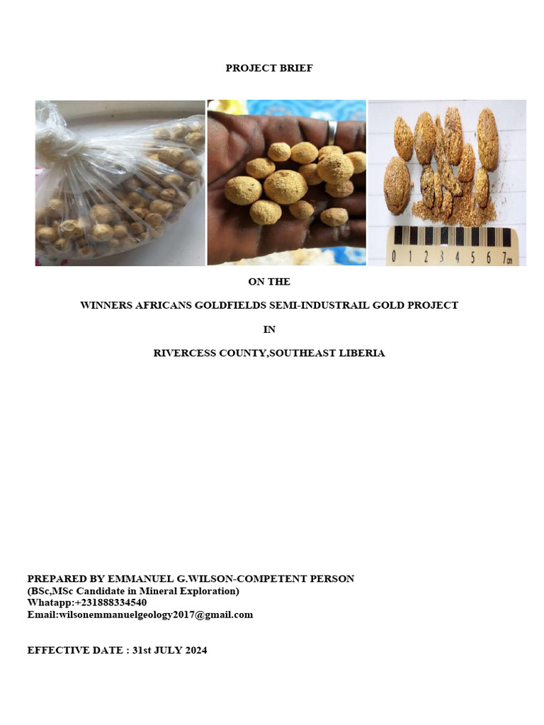 Gold Mine Project Brief | PDF | Environmental Impact Assessment | Mining