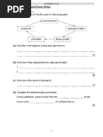 Class 4 Types of Forces Worksheet | PDF | Force | Friction