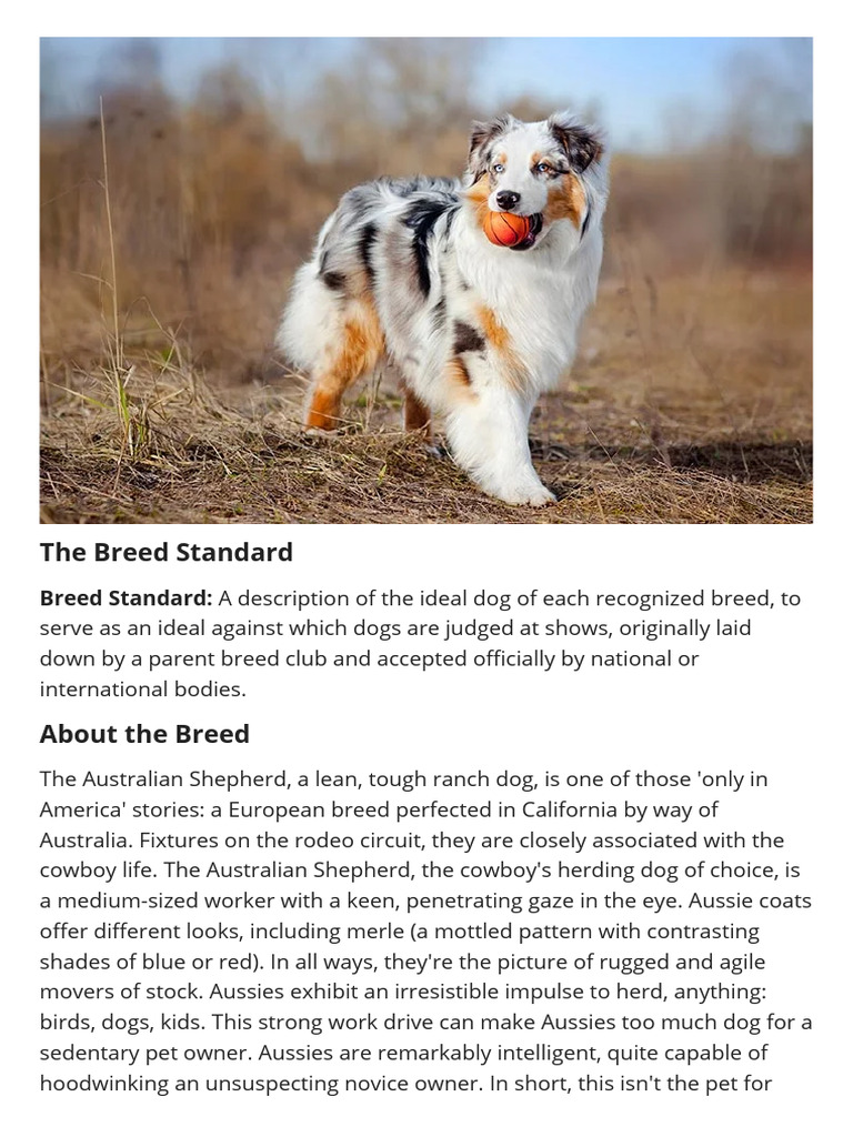 The Breed Standard | PDF