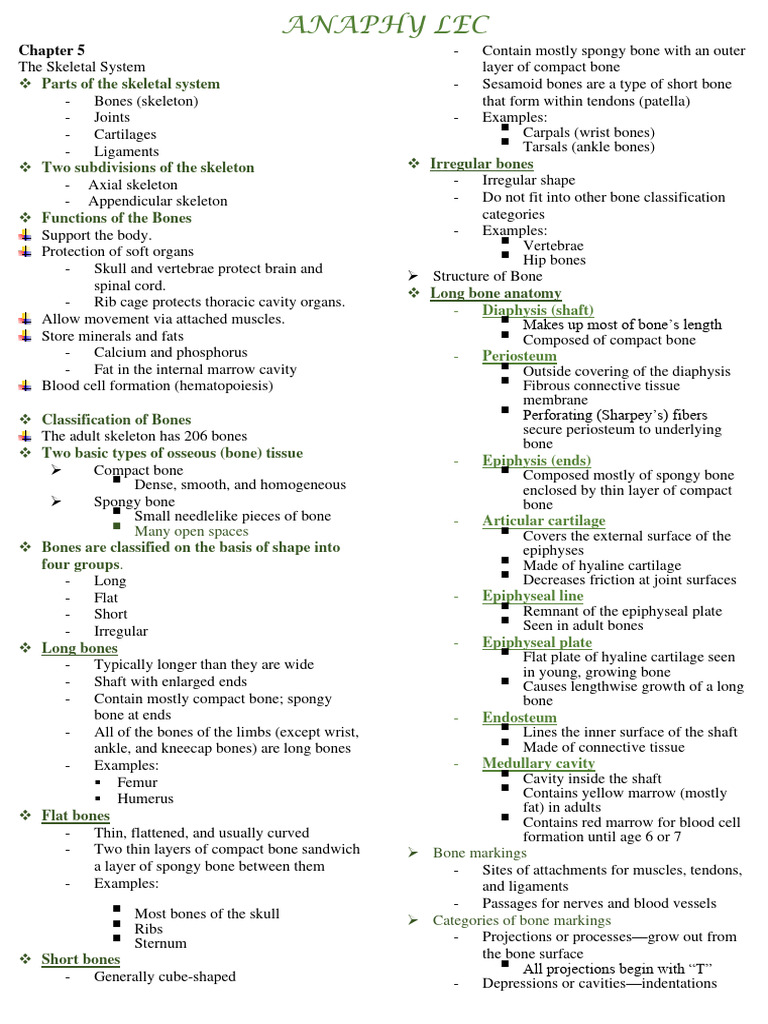 Anaphy Coverage | PDF | Axon | Vertebra
