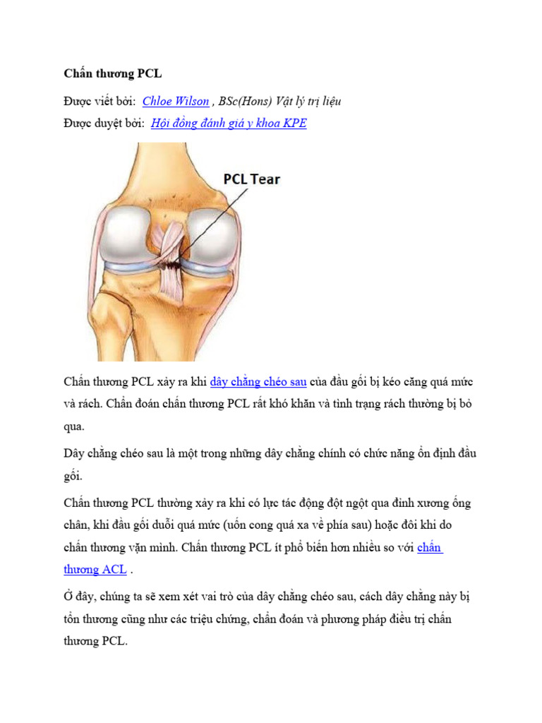 Chấn Thương PCL | PDF