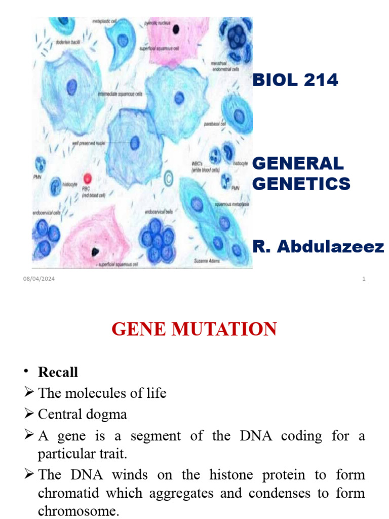 Biol 214 Gene Mutation | PDF | Ploidy | Radiation