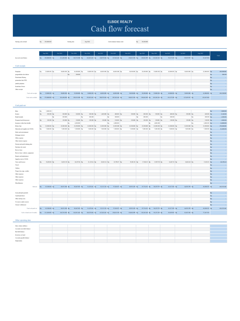 Project Plan Cash Flow N Forcast | PDF | Expense | Financial Services