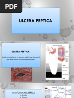 Eventración y Evisceración: Clasificación y Complicaciones | PDF ...