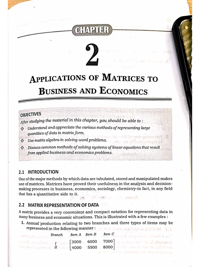 Application of Matrices in Business and Economics | PDF