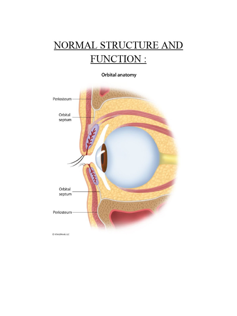 OPHTHALMO | PDF | Glaucoma | Myopia