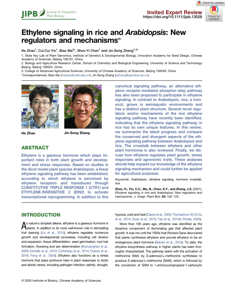 JIPB - 2020 - Zhao - Ethylene Signaling in Rice and Arabidopsis New Regulators and Mechanisms ...