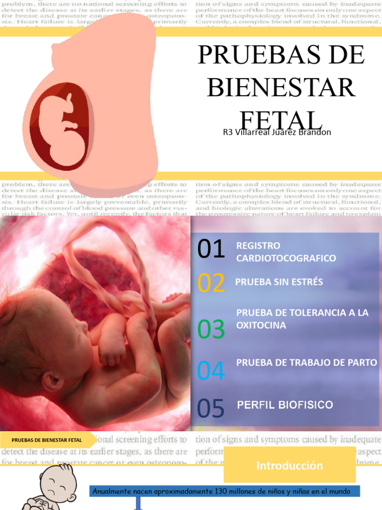 Pruebas de Bienestar Fetal | PDF | Corazón | Feto