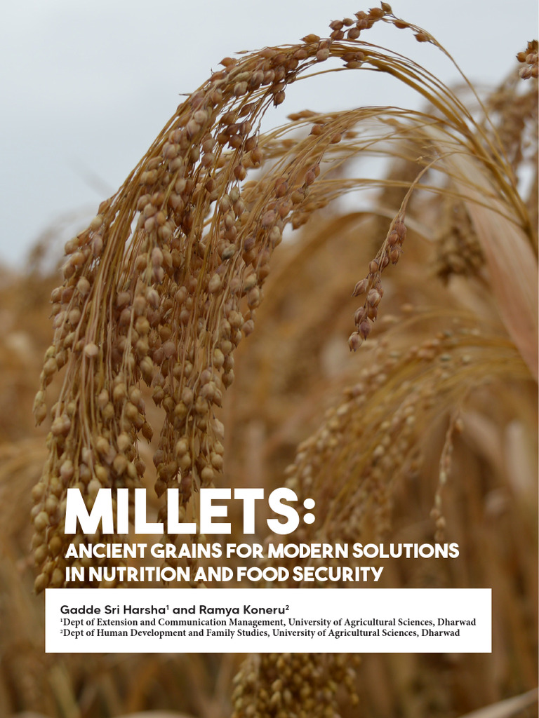 002 MILLETS | PDF | Cereals | Foods