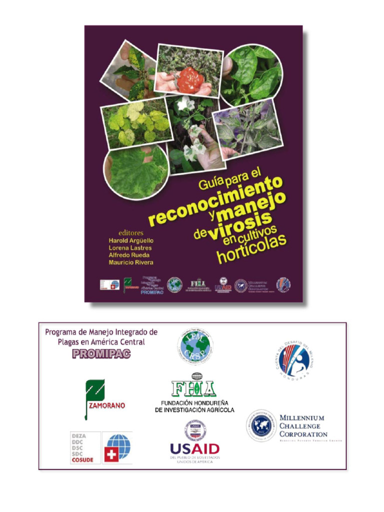 Guia para El Reconocimiento de Virosis | PDF