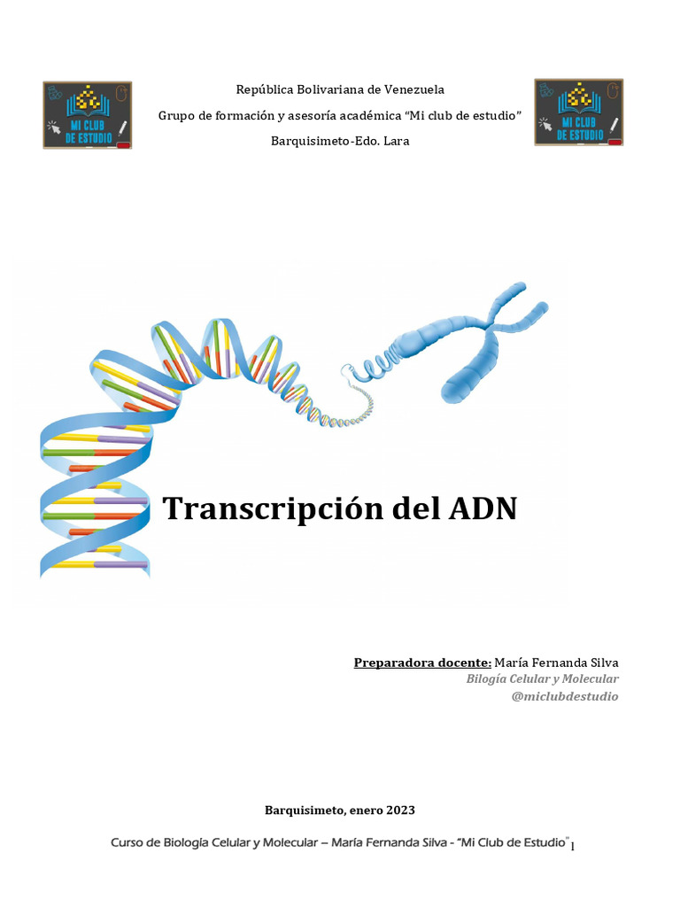 Transcripción Del ADN - Mi Club de Estudio | PDF | Rna | Messenger Rna