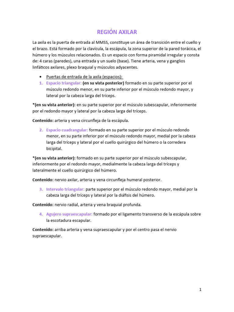 Región Axilar | PDF | Sistema linfático | Anatomía