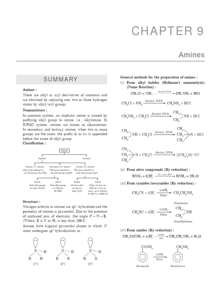 Amines | PDF | Amine | Chemical Compounds