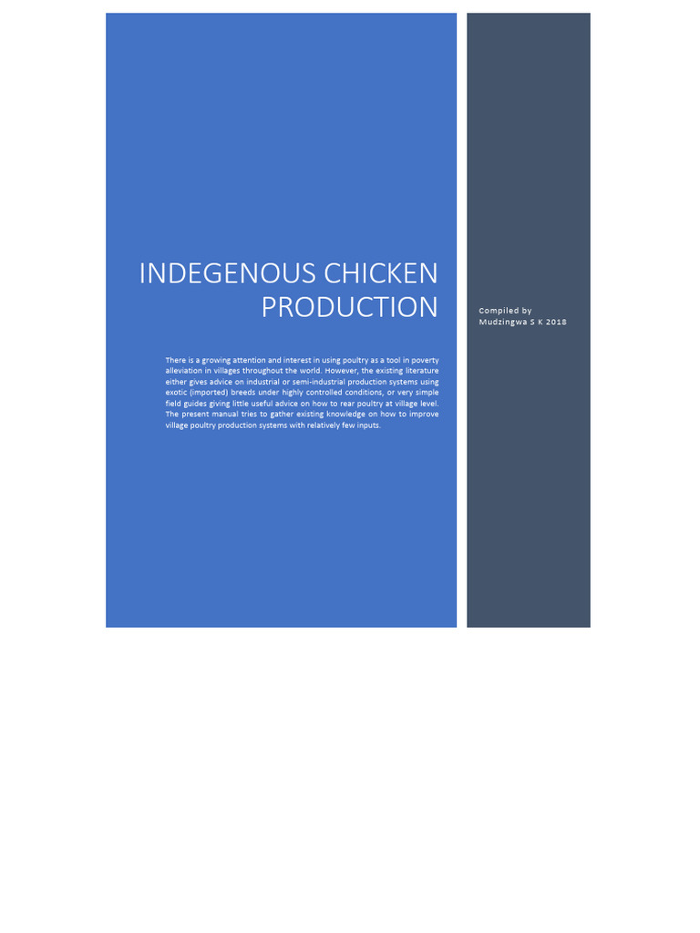 Indigenous Chicken Production | PDF | Chicken | Poultry Farming
