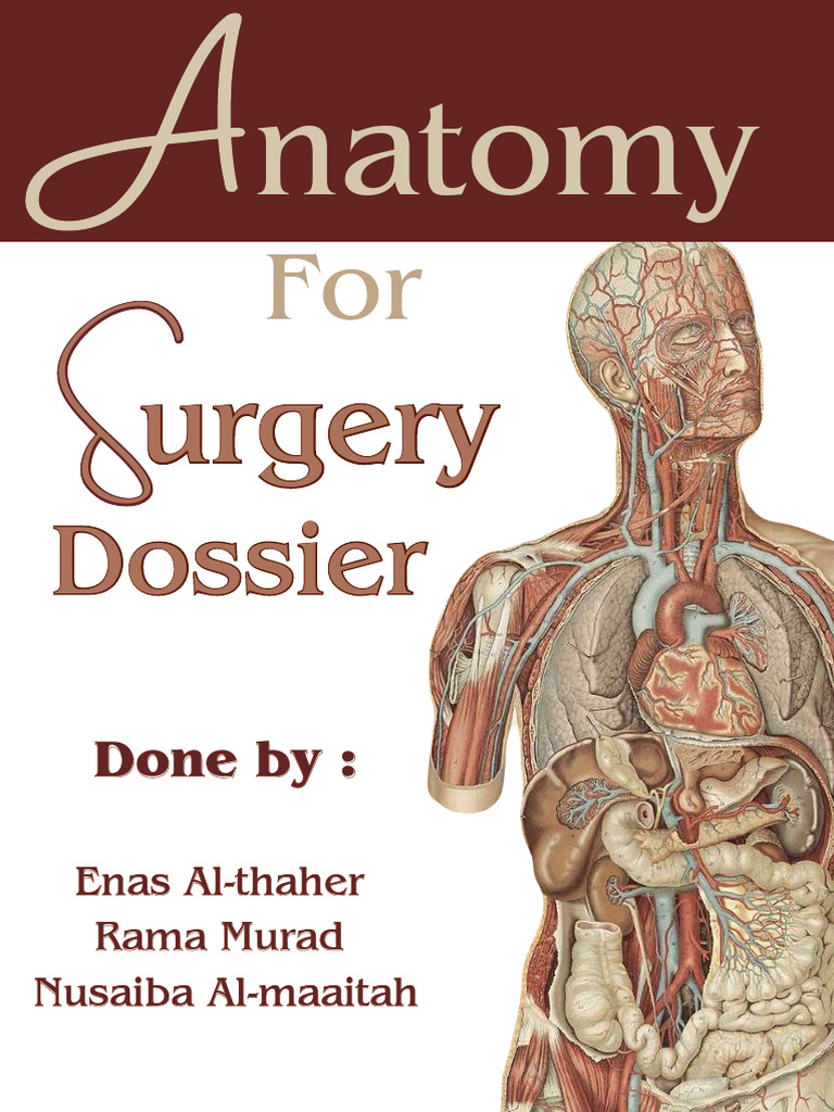 Surgery Anatomy Dossier | PDF | Stomach | Pancreas