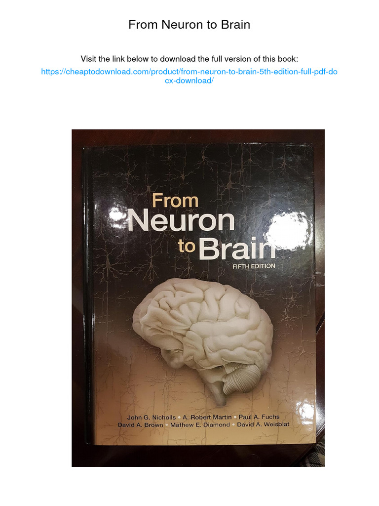 From Neuron To Brain. 5th Edition. | PDF | Neurotransmitter | Synapse
