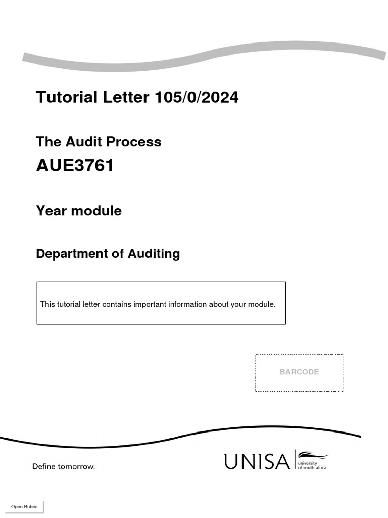 Audit Process Finalization Guide | PDF | Auditor's Report | Audit