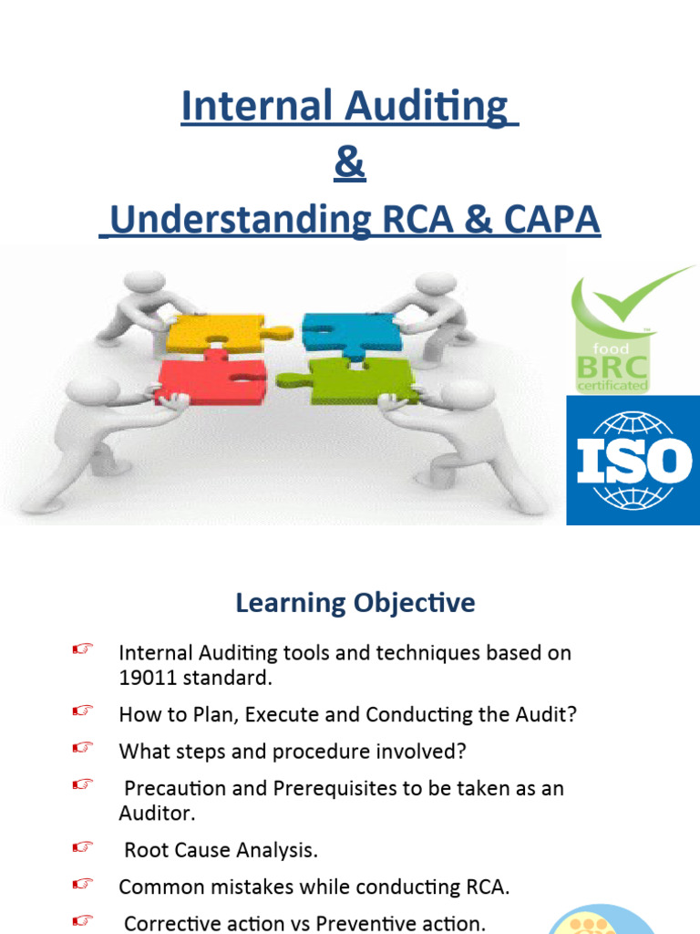 Training Internal Auditing & Understanding CAPA & RCA | PDF | Audit | Internal Audit