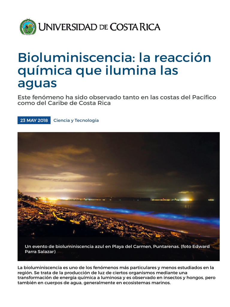 Bioluminiscencia La Reaccion Quimica Que Ilumina Las Aguas | PDF ...