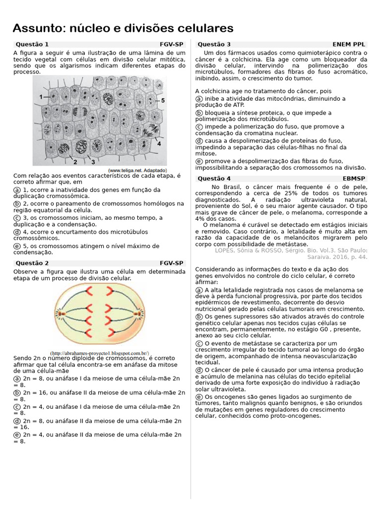 Simulado de Biologia: Divisão Celular e Câncer | PDF | Meiose | Mitose