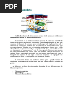 Estrutura e Função dos Filamentos Intermediários | PDF | Citoesqueleto ...