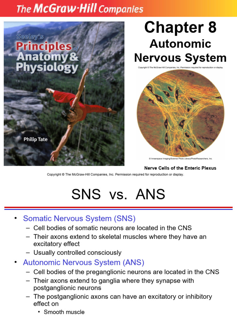 Module 8D - Autonomic Nervous System | PDF | Autonomic Nervous System ...