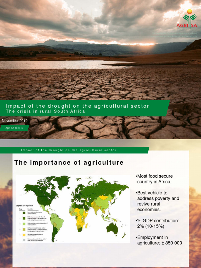 South Africa Drought Impact on Agriculture | PDF | Drought | Agriculture