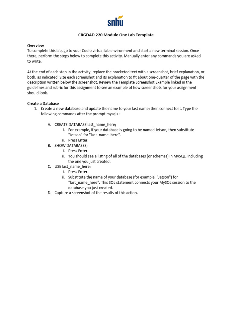 DAD 220 Module One Lab Template | PDF | Databases | Computer Programming