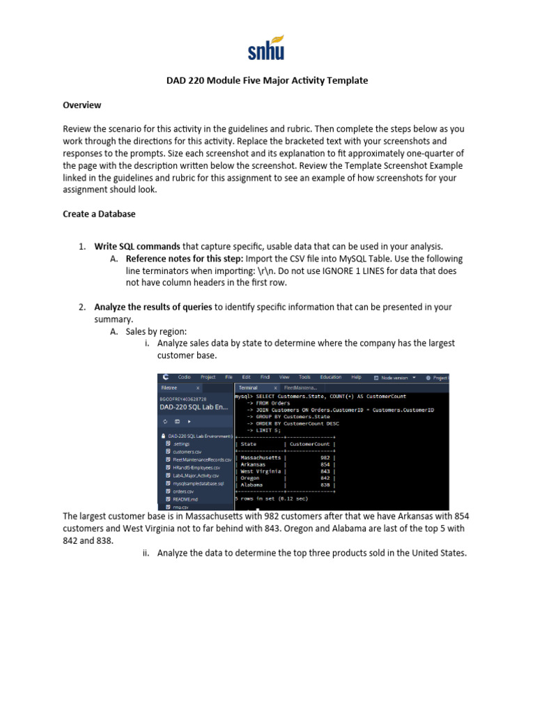 DAD 220 Module 5 Major Activity Guide | PDF | Data Management ...