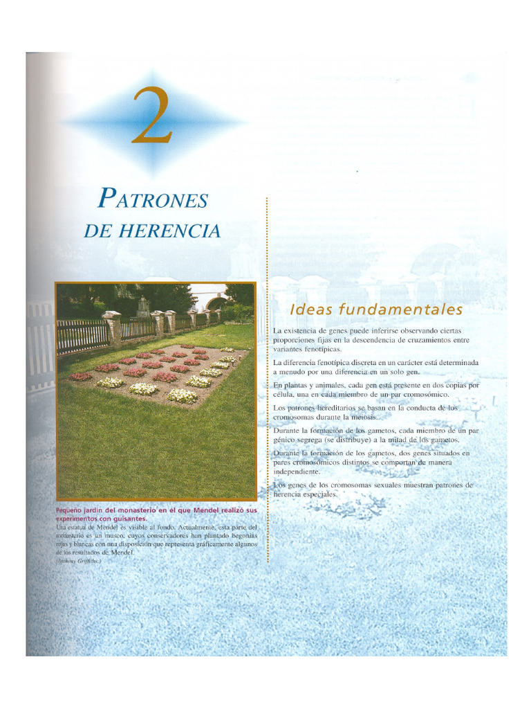 Griffiths Clases 1-2-2 | PDF