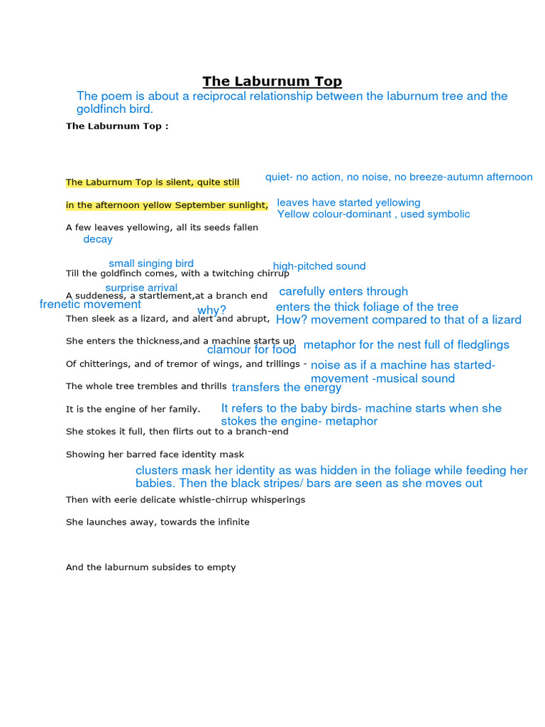 The Laburnum Top-TEXT | PDF