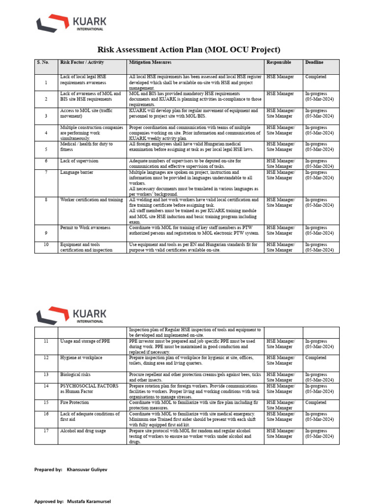 Risk Assessment Action Plan - MOL OCU Project | PDF | Personal ...