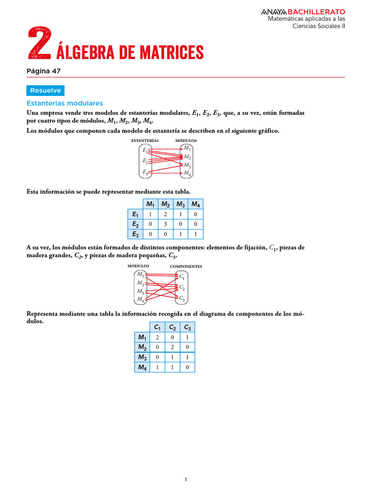 Solucionario Tema Matrices CCSS | PDF | Matriz (Matemáticas) | Matemáticas