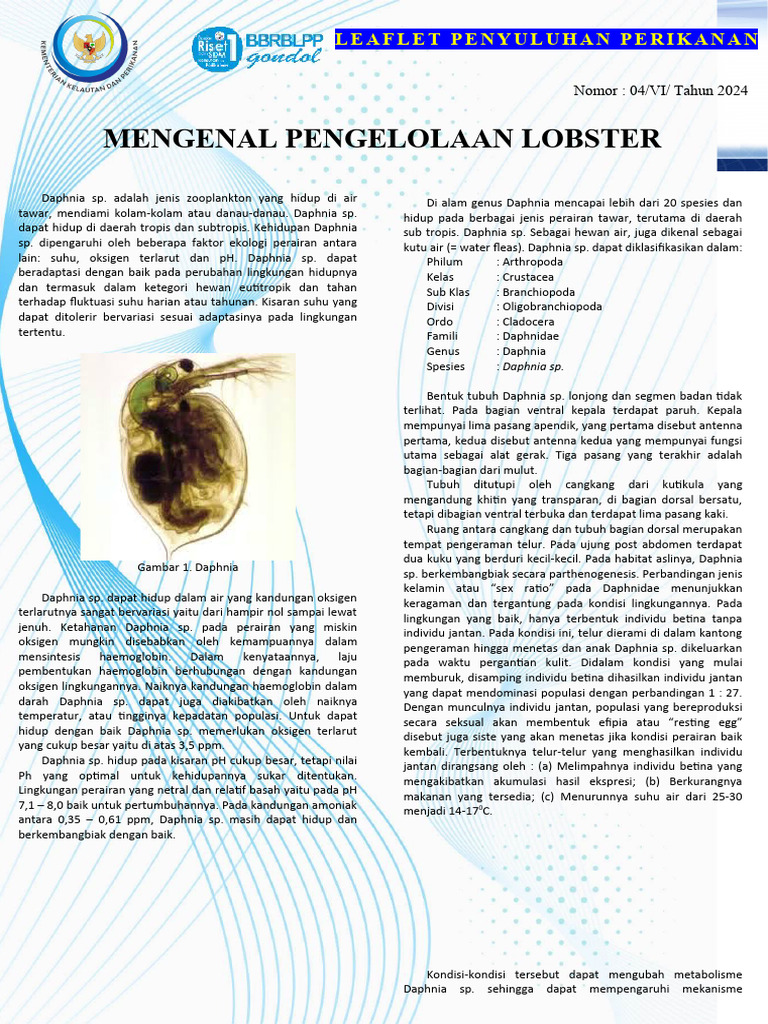 Leaflet 05 IX MENGENAL Aturan Pengelolaan Lobster | PDF