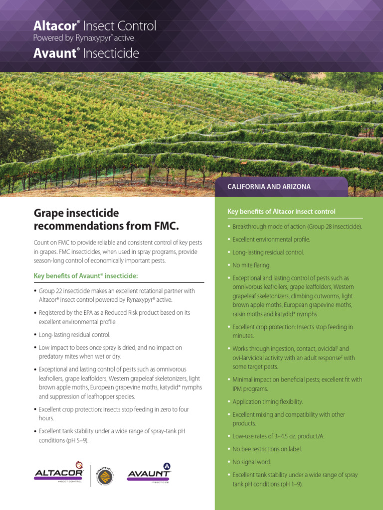 17-FMC-0970 Grape Recommendations SS CA AZ 070519 V4 | PDF | Pest ...