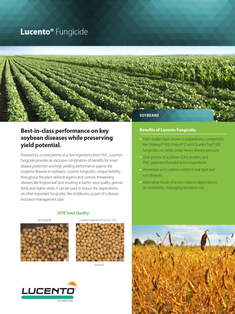 Lucento Fungicide for Soybean Disease Control | PDF | Branches Of ...