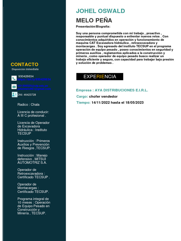 Curriculum Vitae Johel Oswald Melo Peña | PDF