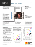 Vision Conversion Chart v2 0 | PDF | Eye | Face