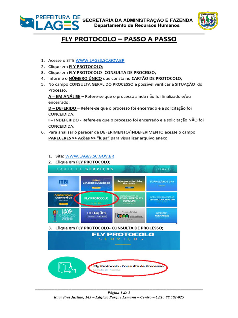 Fly Protocolo - Como Acessar - Passo A Passo | PDF