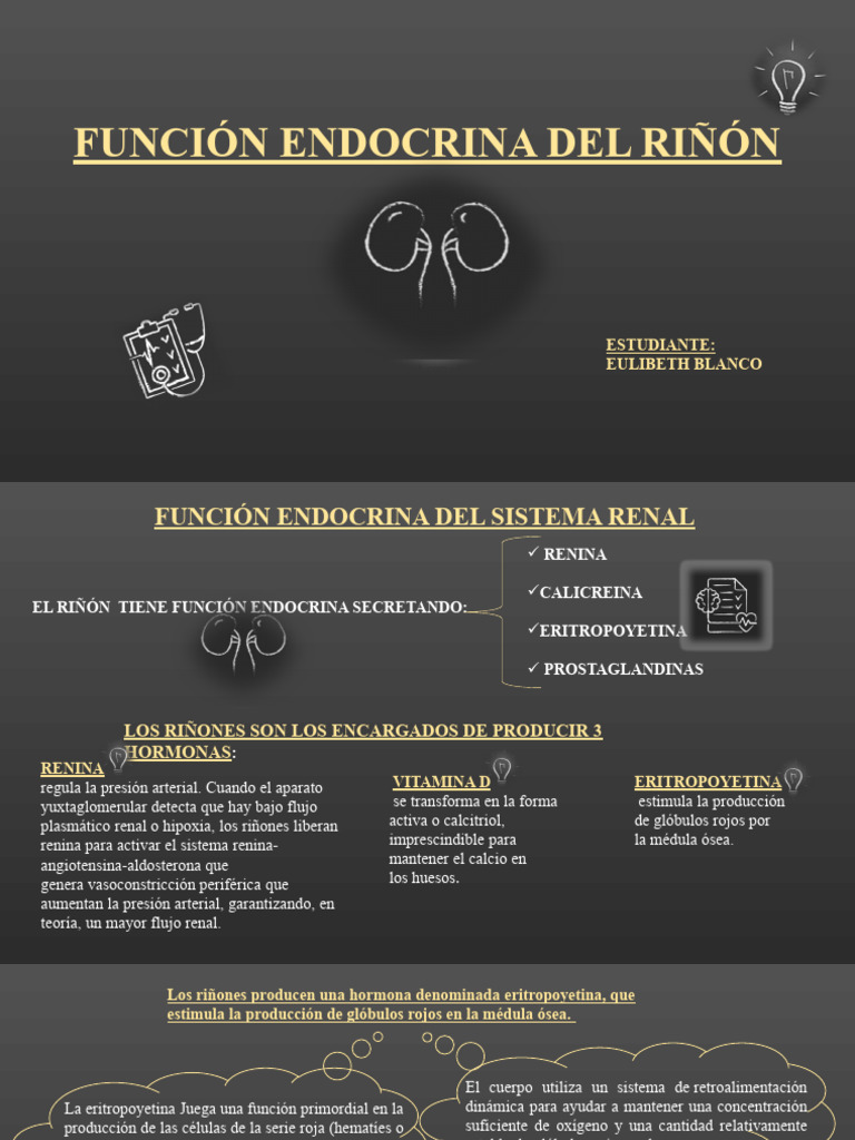 El Riñon Funcion Endocrina | PDF | Riñón | Glóbulo rojo
