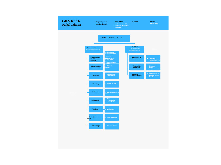 Organigrama CAPS 16 Grupo 1 | PDF | Especialidades Medicas | Medicina ...