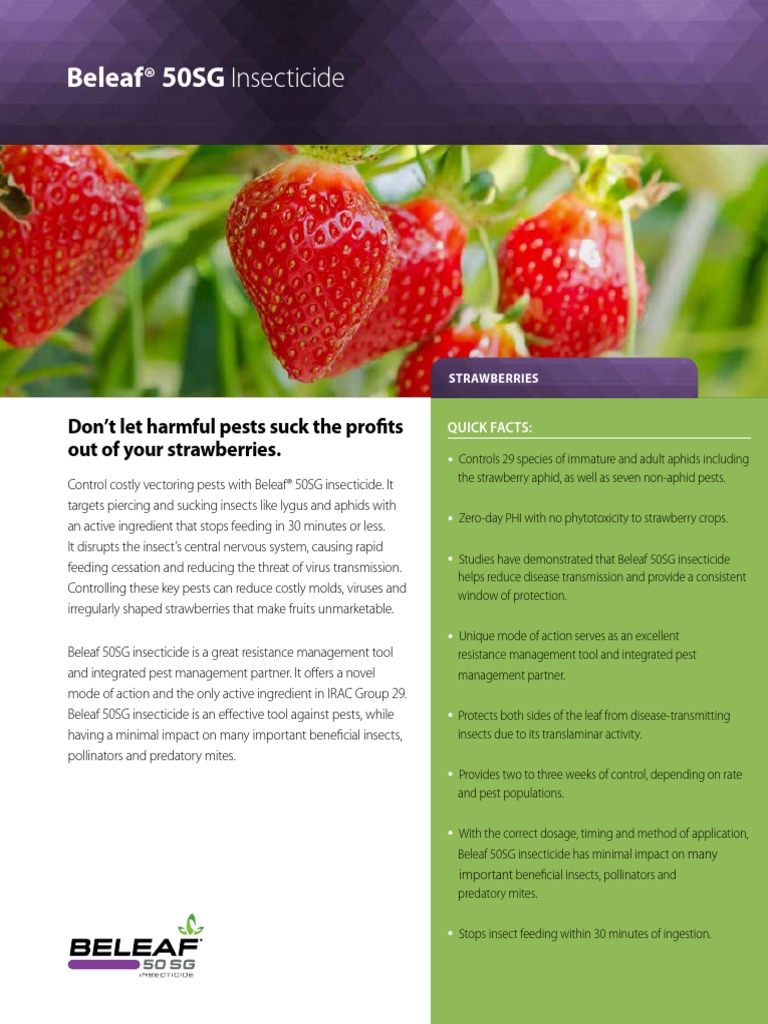 19-FMC-1243 Beleaf 50 SG Strawberries Fact Sheet - 061219 - V5 (1) - 0 ...