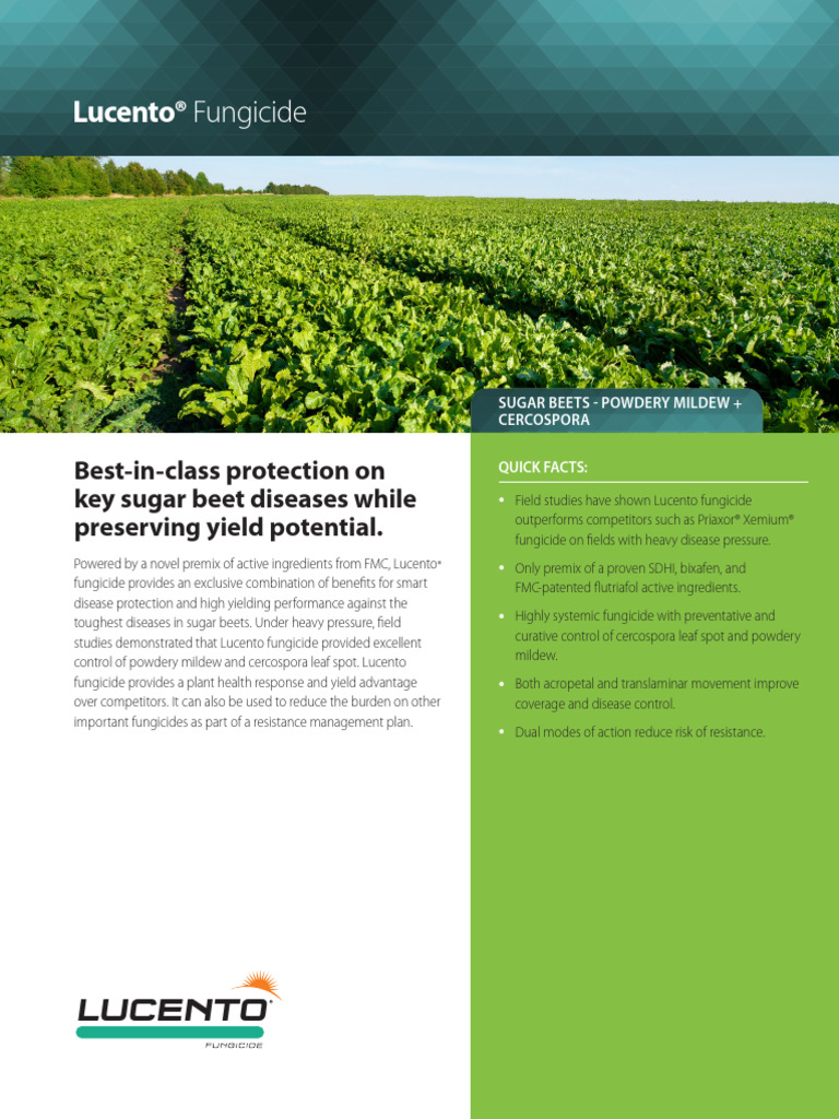 18-FMC-2478 Lucento SugarBeet FactSheet POWDERYMILDEW CERCOSPERA 041323 VF | PDF | Fungicide